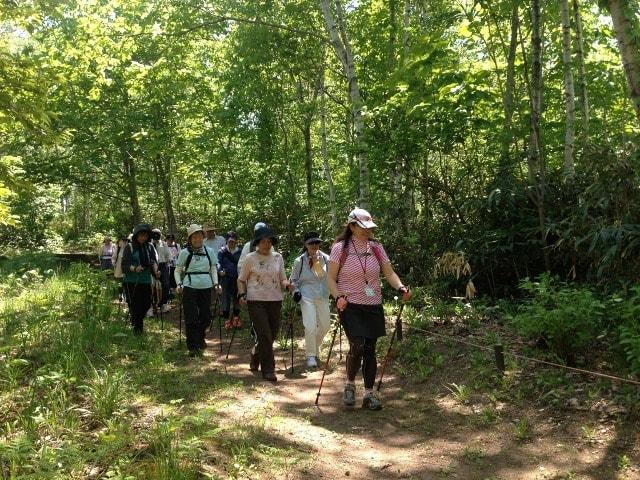 ノルディックウォーキング講習会（6月）（北海道）の観光イベント情報｜ゆこゆこ