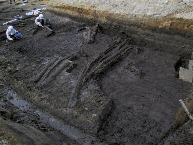 東北歴史博物館 れきはく講座7「貞観津波堆積層の構造と珪藻分析」＜中止となりました＞（宮城県）の観光イベント情報｜ゆこゆこ