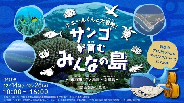ホエールくんと大冒険！サンゴが育むみんなの島 ～東京都 沖ノ鳥島・南鳥島～（東京都）の観光イベント情報｜ゆこゆこ